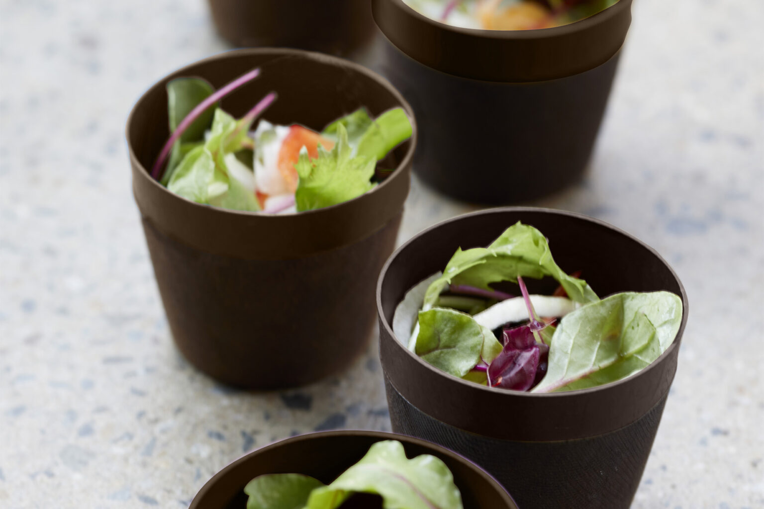 KOMLA ki-urushi | COCOO (こくう) 京都のあたらしい漆器・漆塗り食器